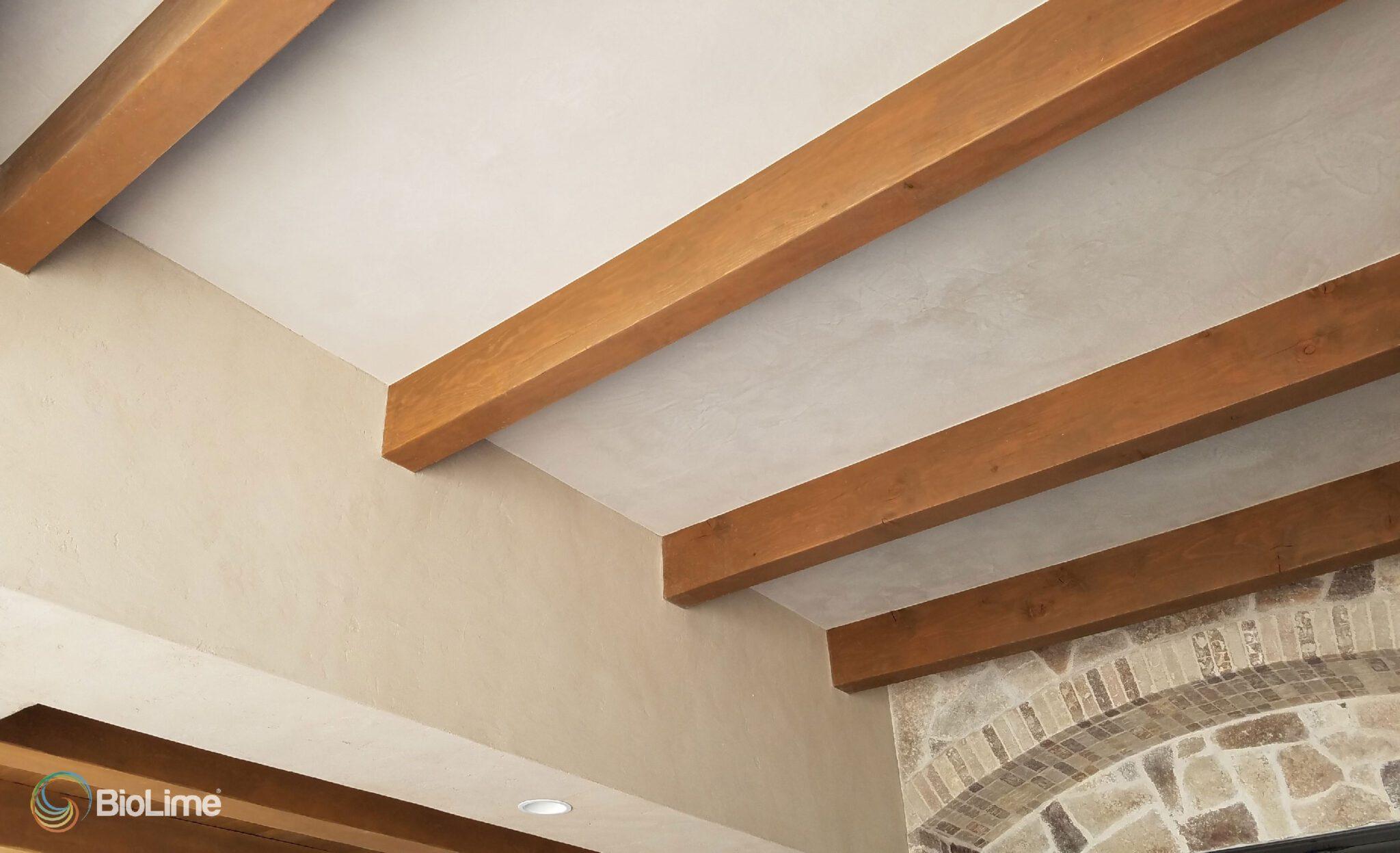 Durable and Sustainable Lime Plasters | BioLime