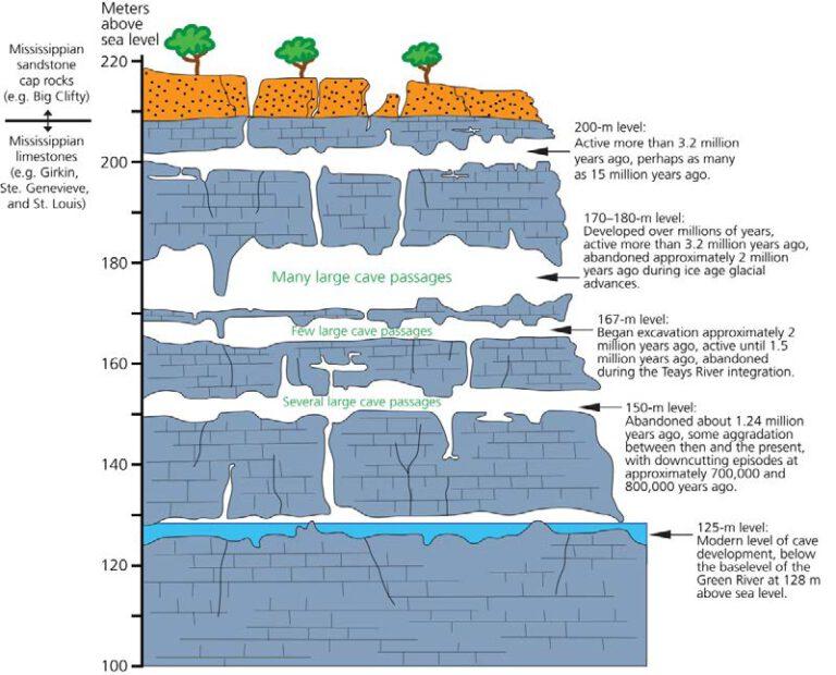Mammoth Cave – Its Surprising Kinship with BioLime - BioLime