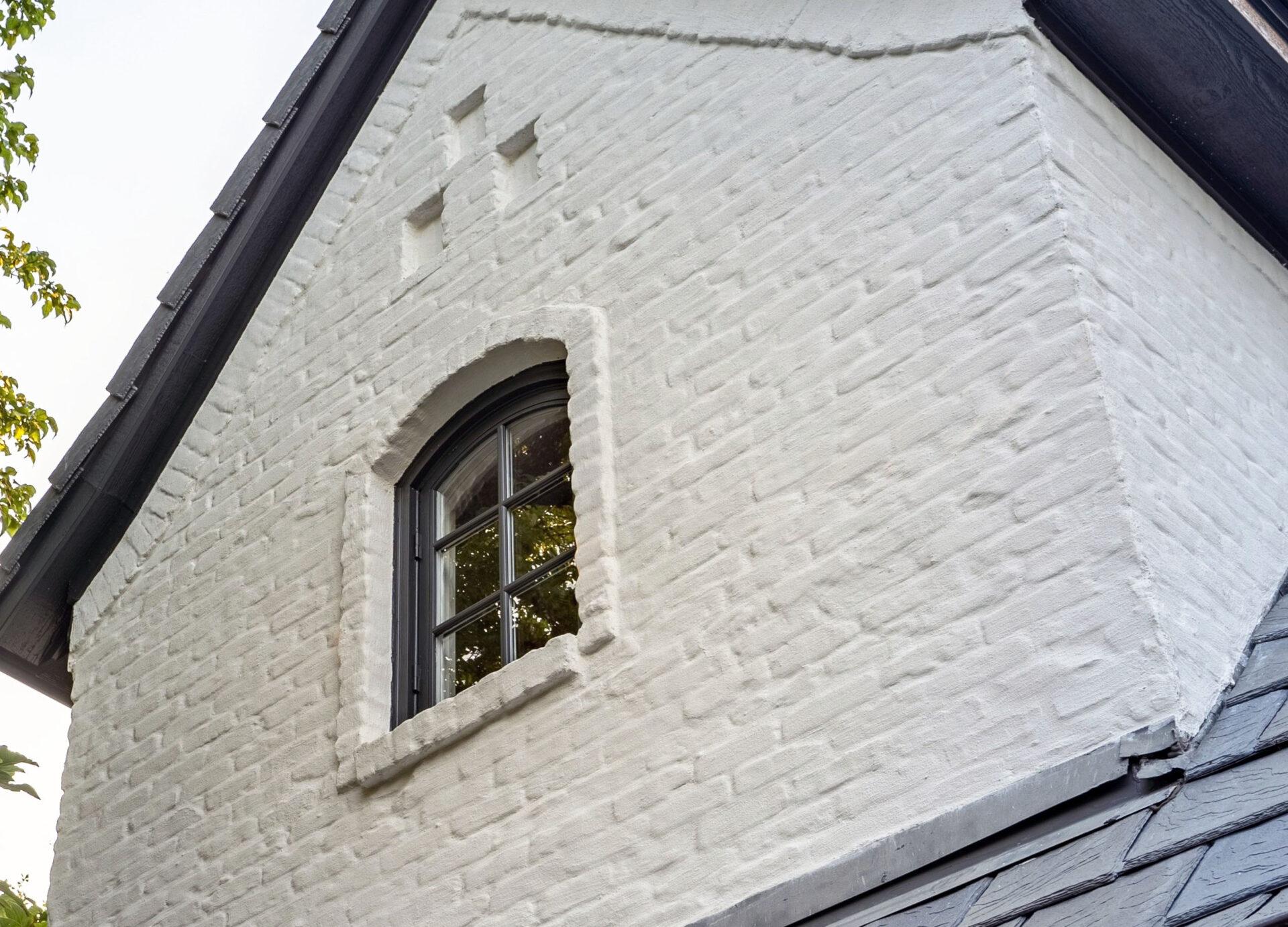 Lime Slurry & German Schmear | Original and Authentic | BioLime