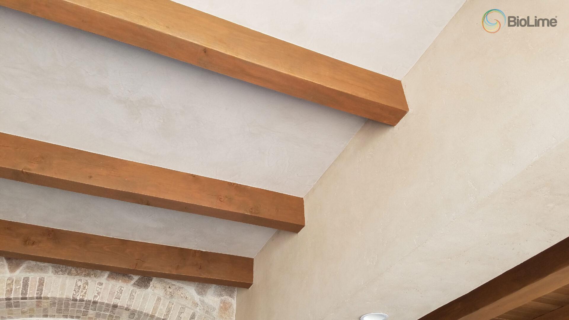 Coating System For Fiberglass Mat Gypsum Sheathing | BioLime