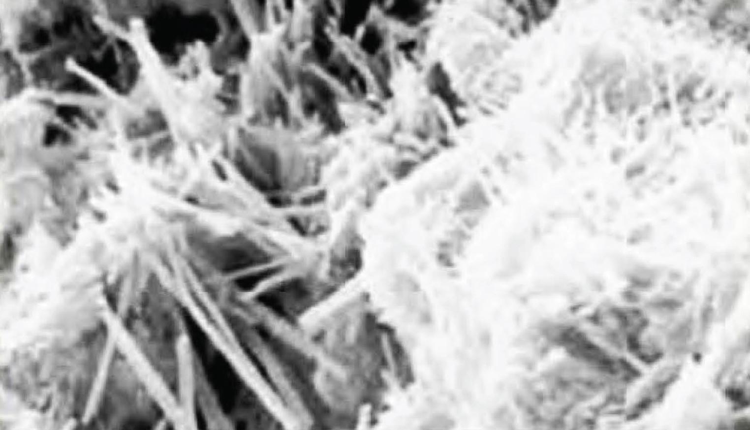 Lime research - BioLime